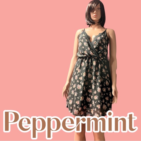 Peppermint | Dresses | Euc Peppermint Lace Trim Drop Waist Floral Dress ...